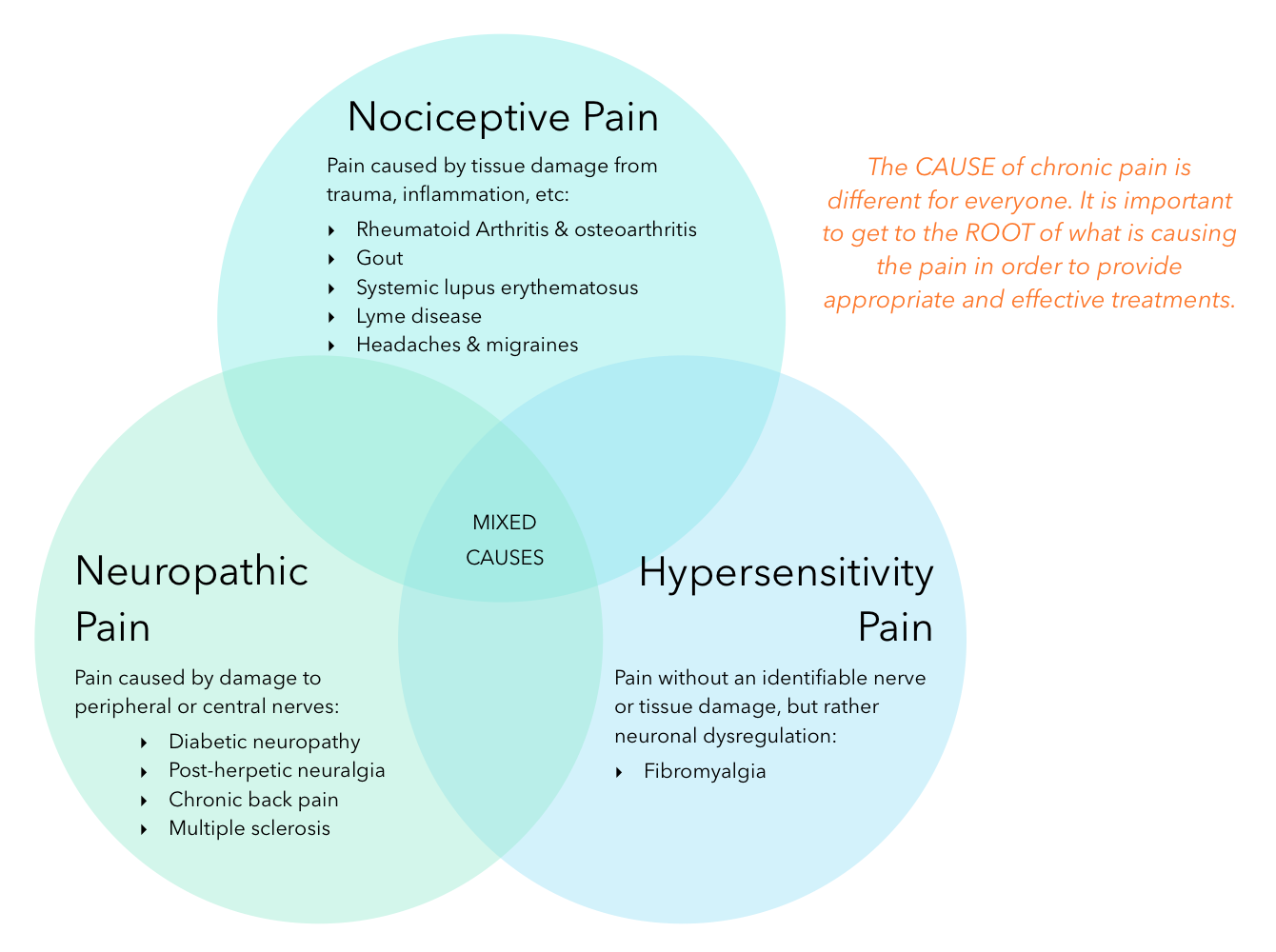 Understanding Chronic Pain and Fibromyalgia – Dr. Noelle DeVos, ND